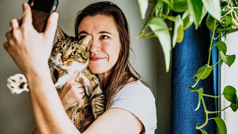 eSIM: Die Vorteile der elektronischen SIM – ING