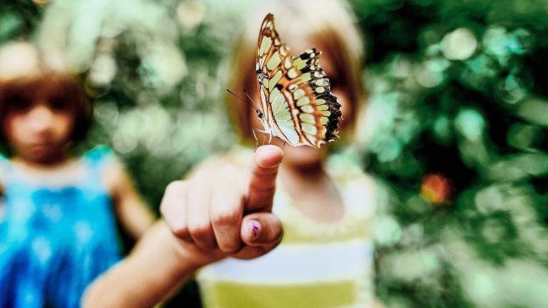 ING - Willkommen bei Deutschlands beliebtester Bank – ING