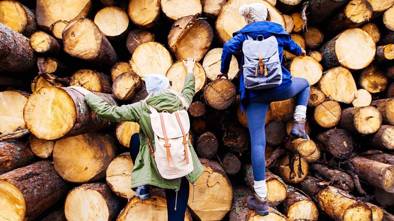 Steuerlast: Familienstand macht den Unterschied – ING